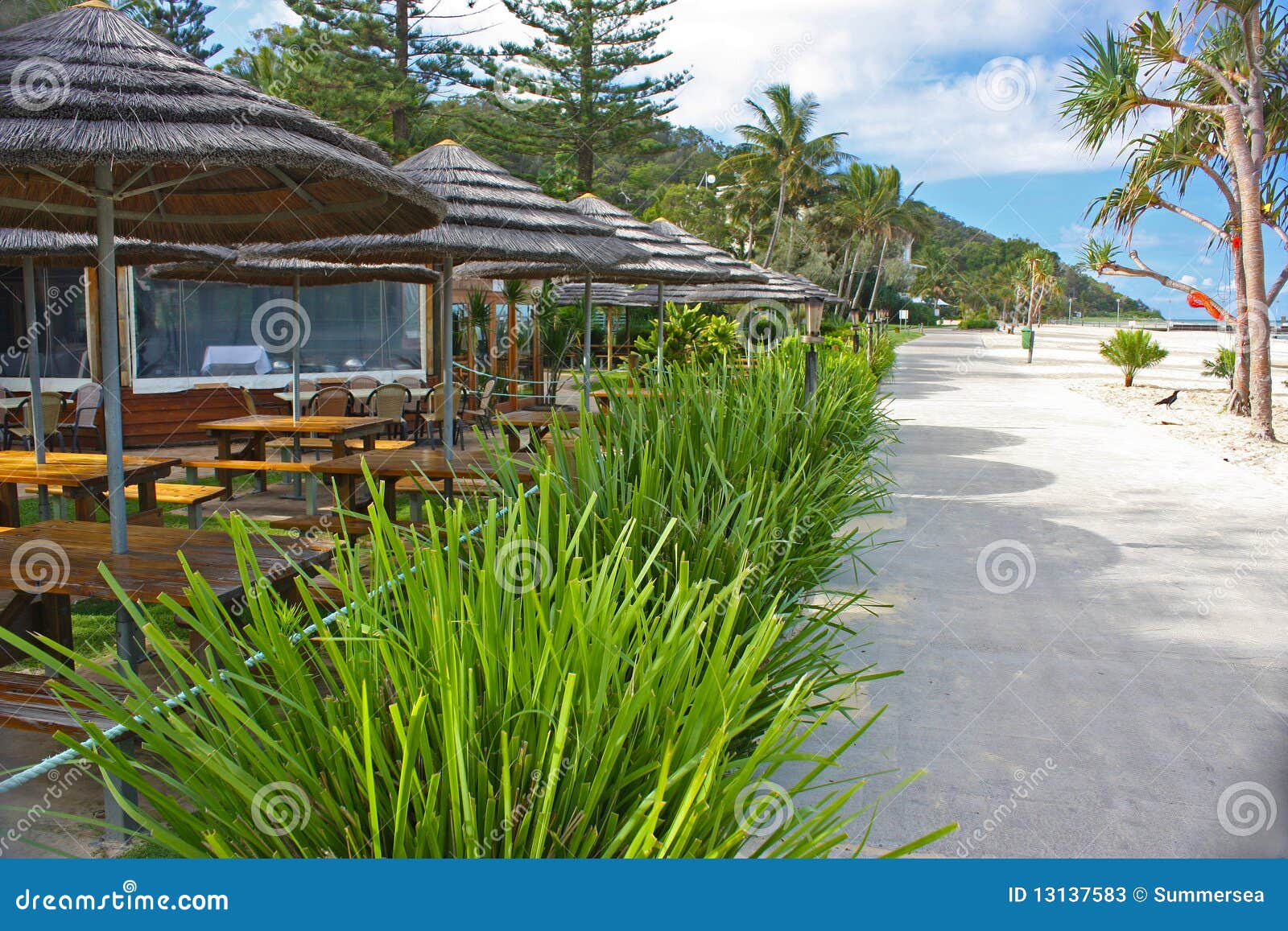 Beachside cafe stock image. Image of beach, forest, fence - 13137583