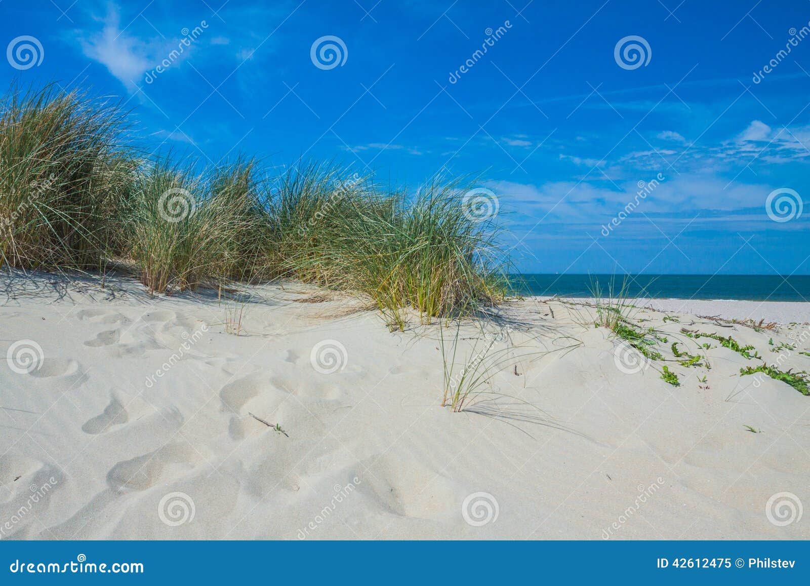 Beachside Zeeland stock image. Image of nature, holidays - 42612475