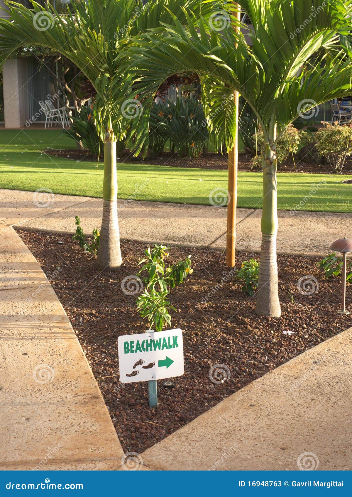 Beachwalk trail stock image. Image of tropical, path - 16948763