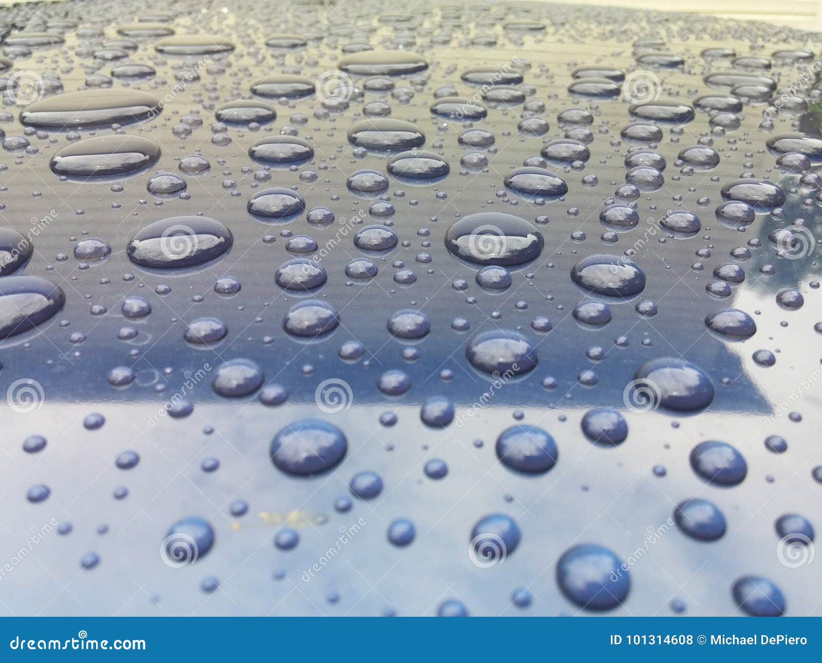 Beaded Water Droplets On Black Surface Royalty-Free Stock Photography ...