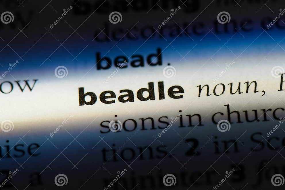 Beadle stock image. Image of idea, page, info, definition - 114404801