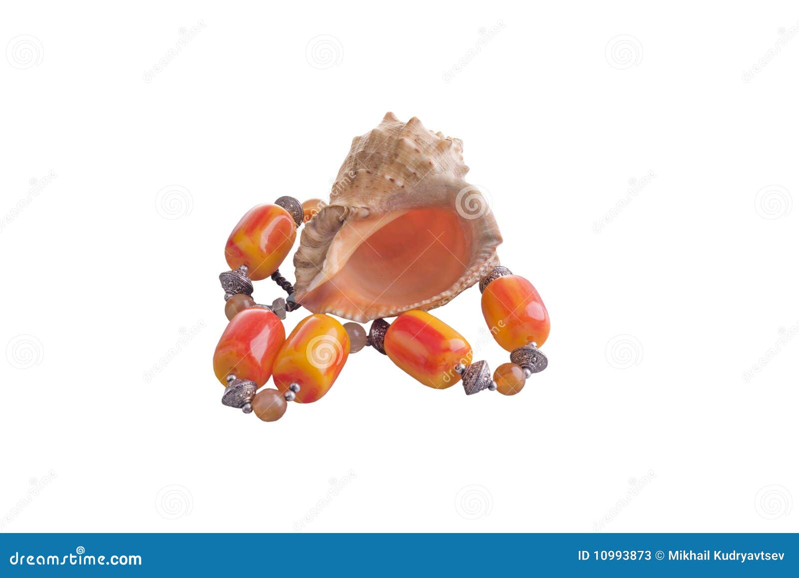 Beads and shell 4 stock image. Image of objects, female - 10993873