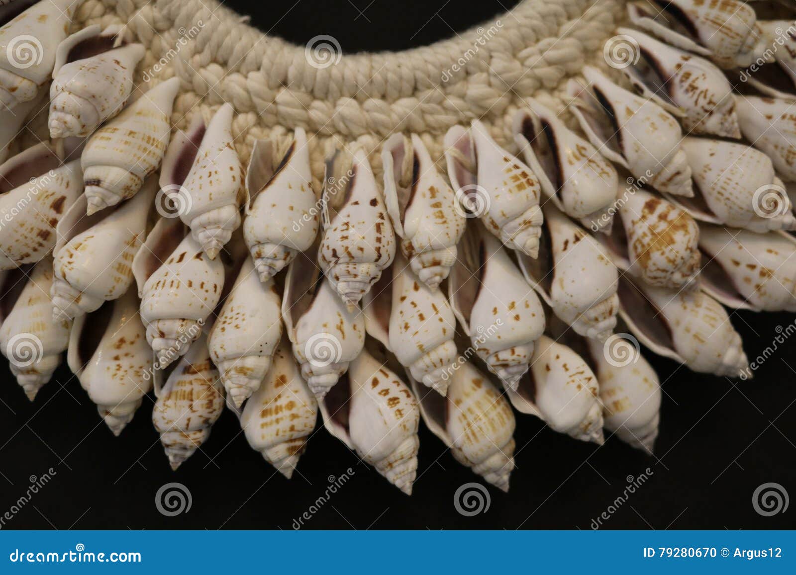 Beads of shells stock photo. Image of shells, spiral - 79280670