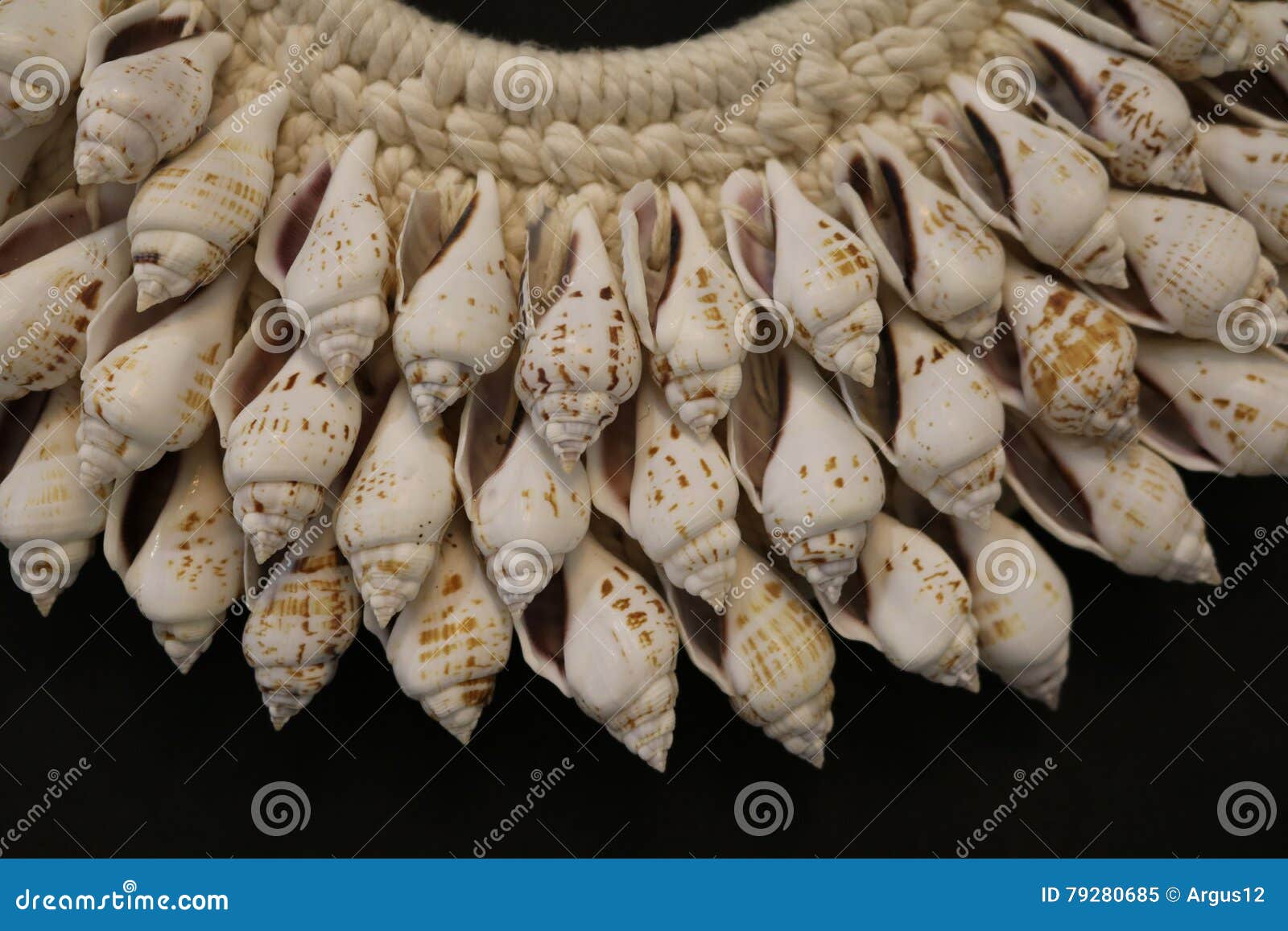 Beads of shells stock image. Image of shell, cover, mollusks - 79280685