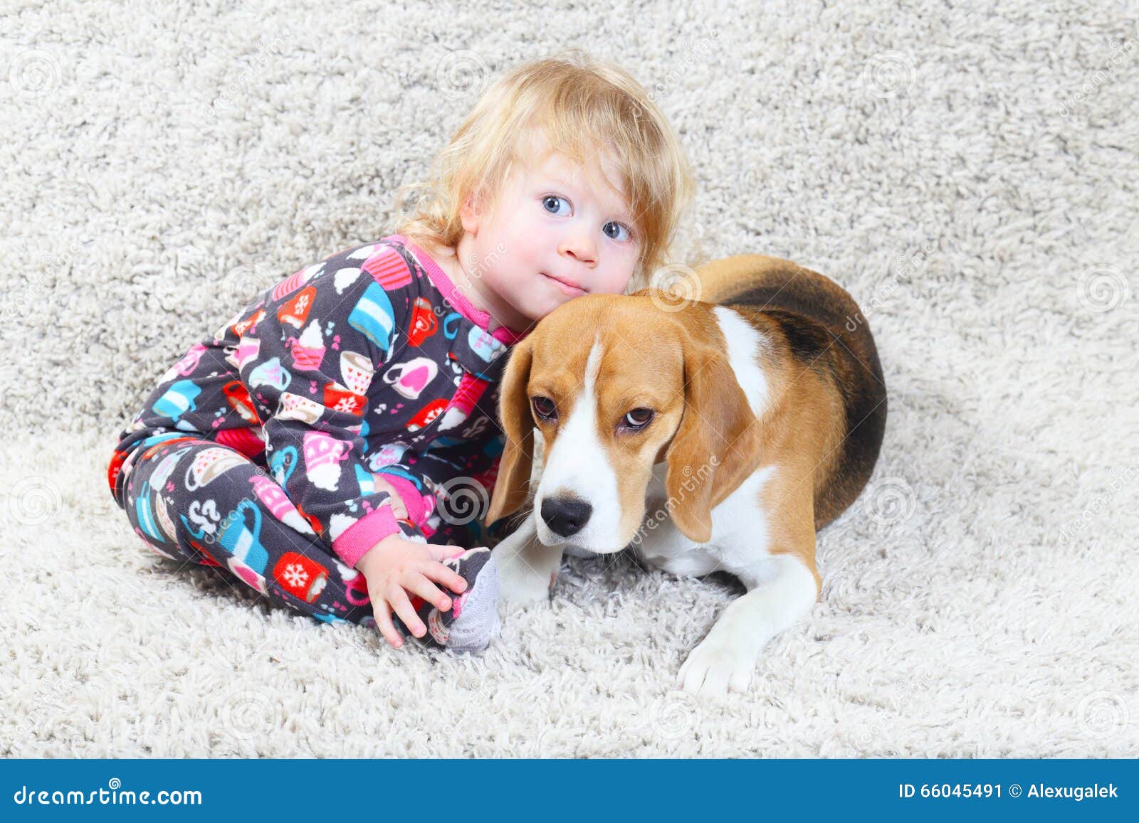 Beagle and a child stock image. Image of white, face - 66045491