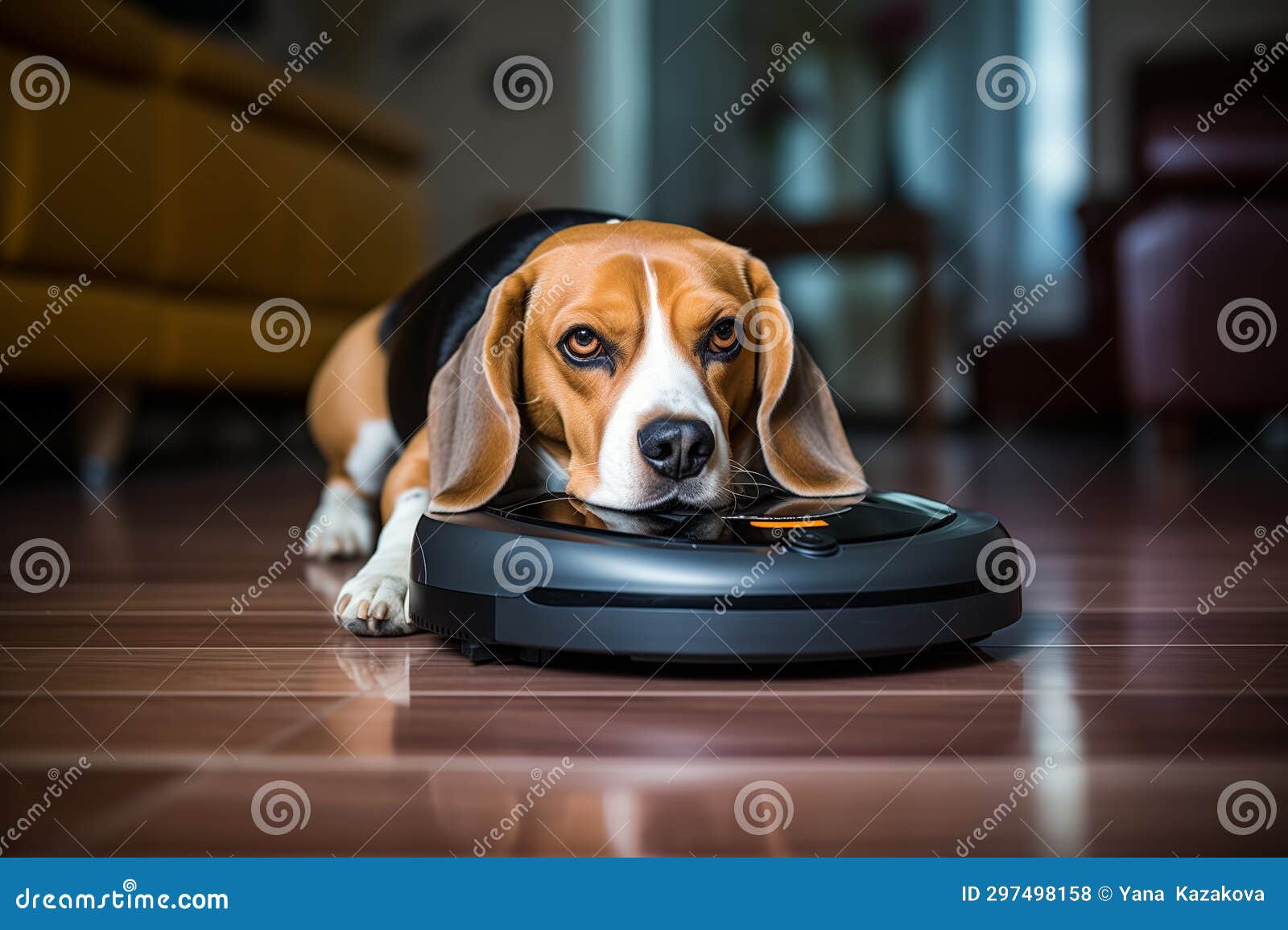 The Beagle Dog Lying Near a Robot Vacuum Cleaner Stock Illustration ...