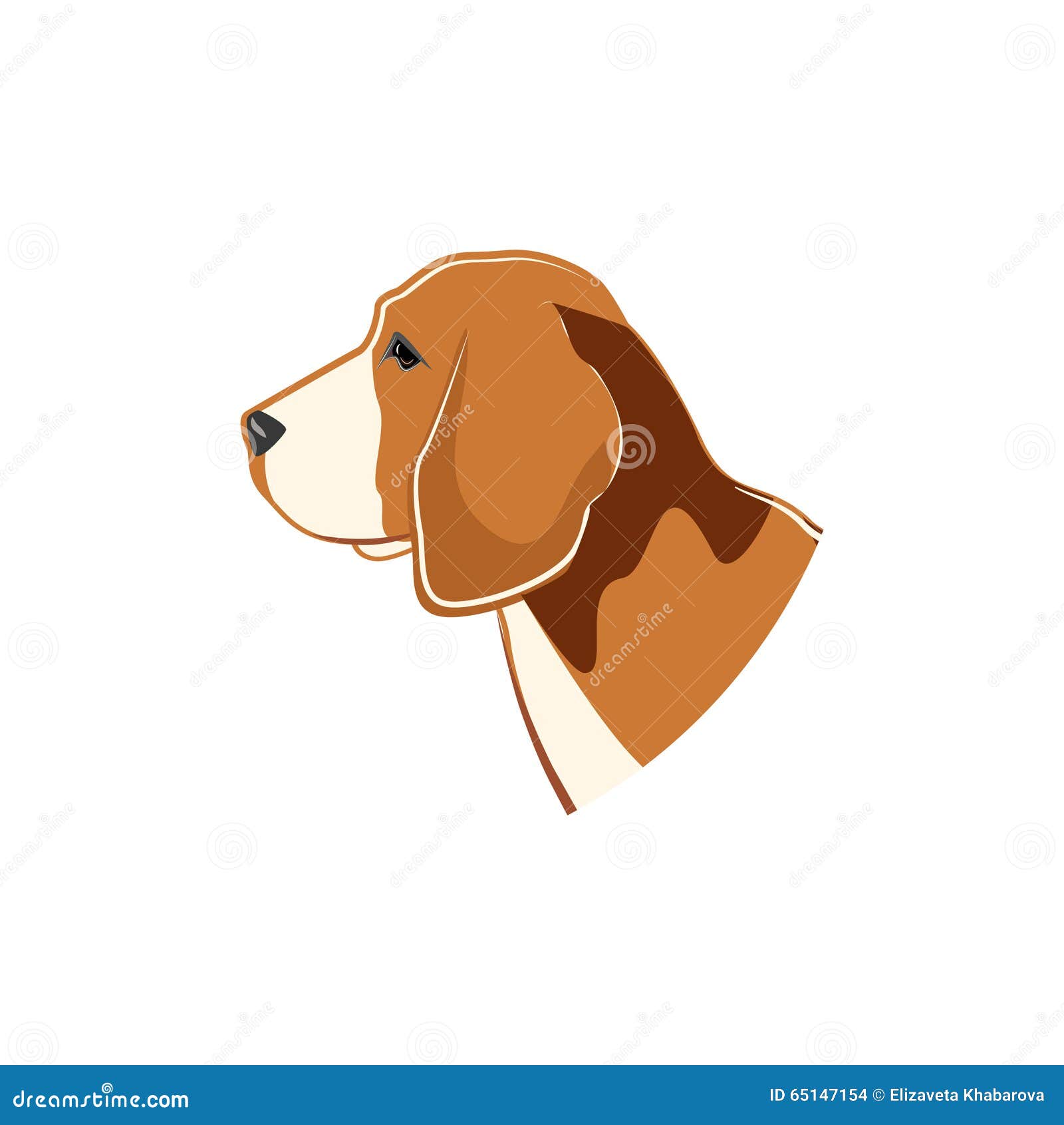 Beagle, Dog. Vector Illustration Stock Vector - Illustration of canine ...