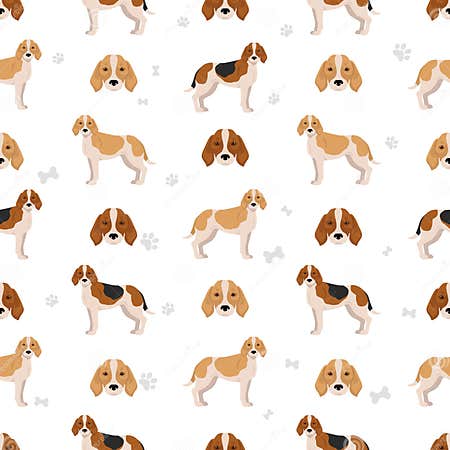 Beagle Harrier Seamless Pattern. Different Coat Colors and Poses Set ...