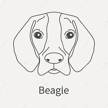 Beagle. Head Dog Beagle in a Linear Style. Graphics Outline Element for ...