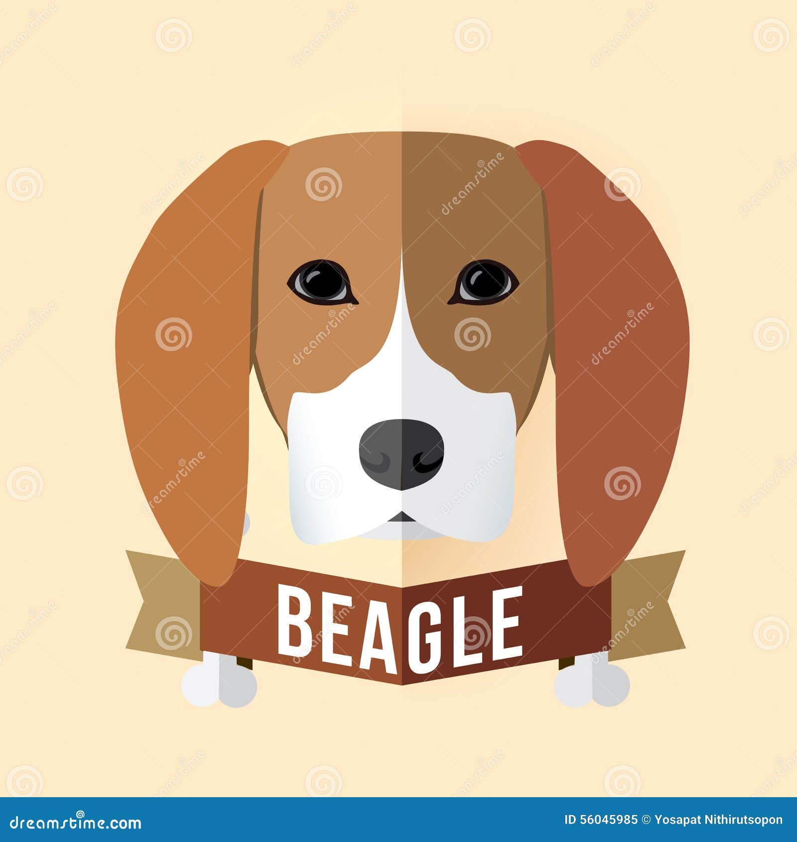 Beagle stock vector. Illustration of veterinary, head - 56045985