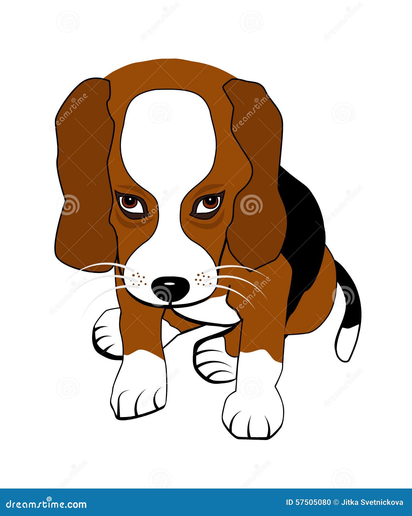 Beagle puppy stock vector. Illustration of beagle, beautiful - 57505080