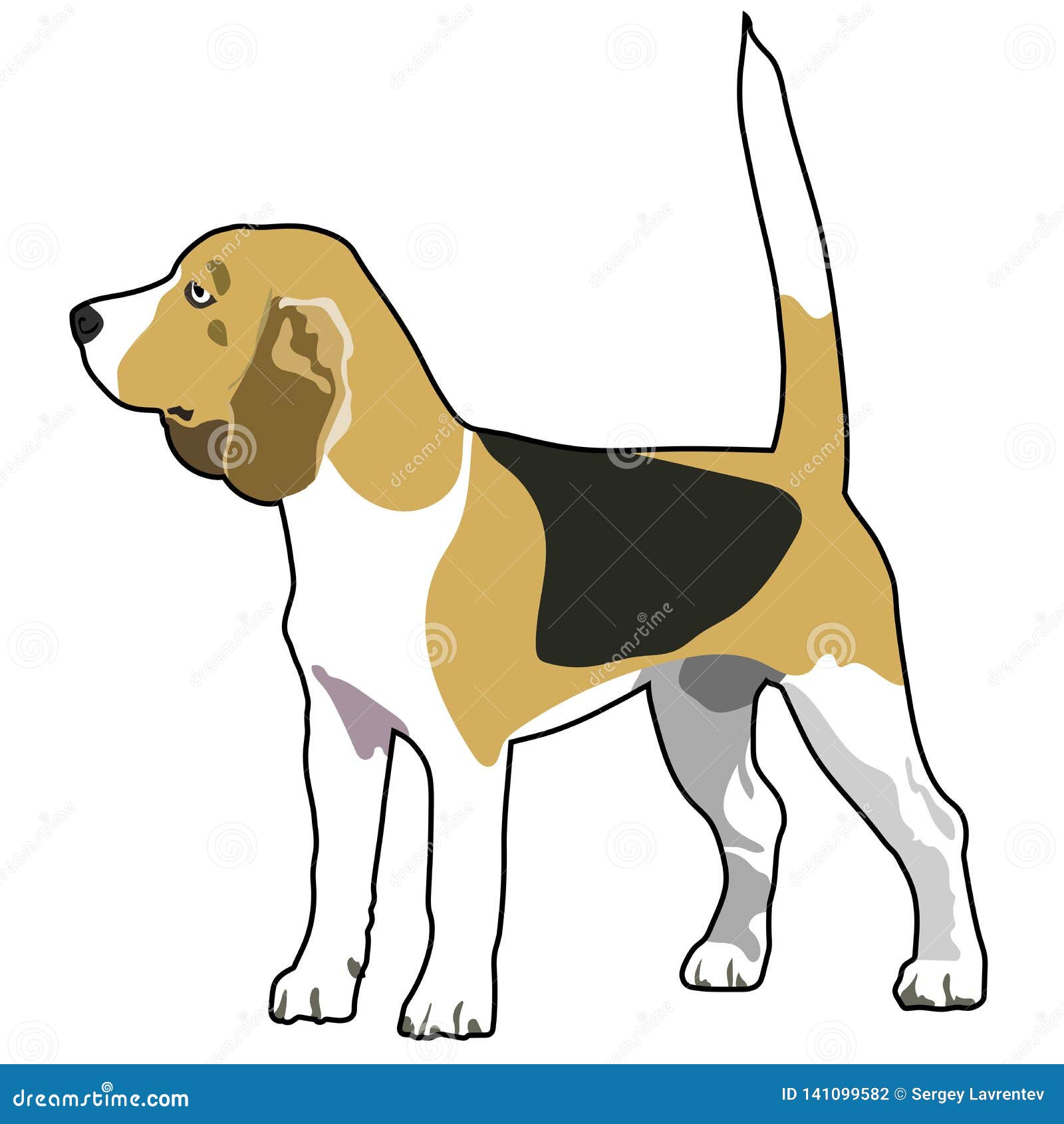 Beagle purebred dog stock illustration. Illustration of purebred ...