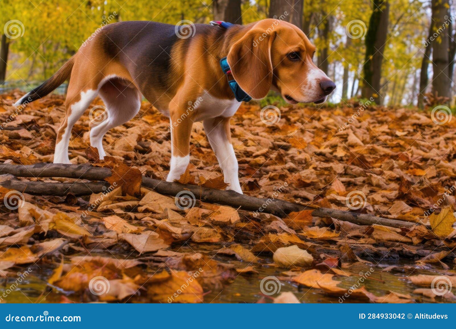 Beagle Tracking Stock Illustrations – 89 Beagle Tracking Stock ...