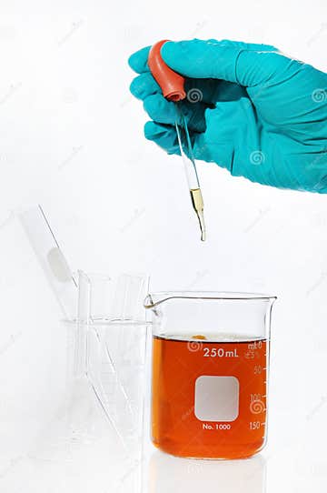 Beaker and dropper stock photo. Image of preparation - 25226168