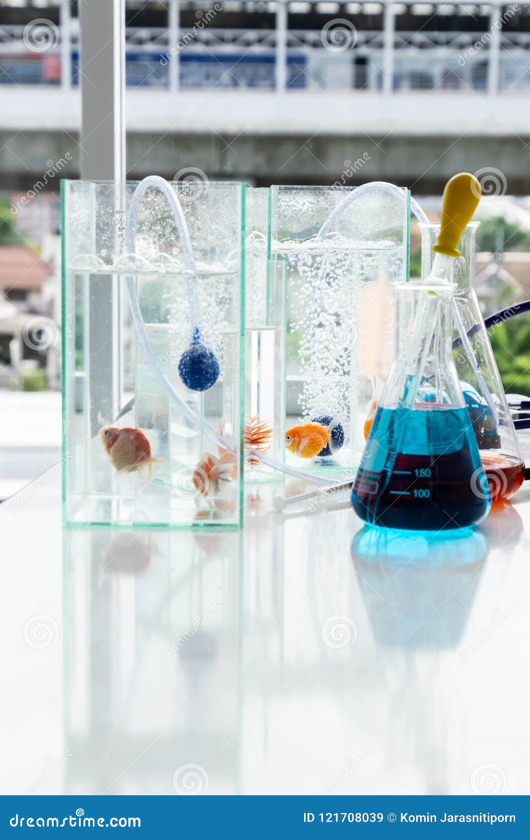 Beaker and fish bowl. stock image. Image of fluid, bowl - 121708039