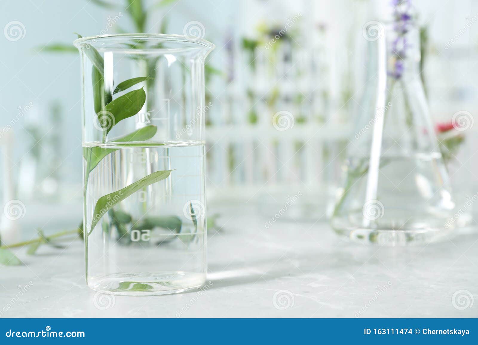 Beaker With Plant And Microscope On Table In Laboratory. Stock ...