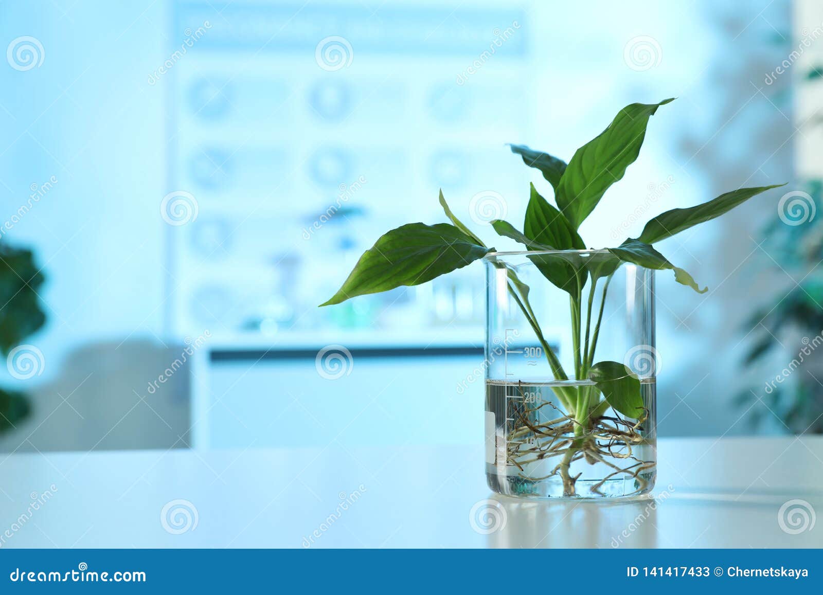 Beaker with Plant on Table in Laboratory, Space for Text. Stock Image ...
