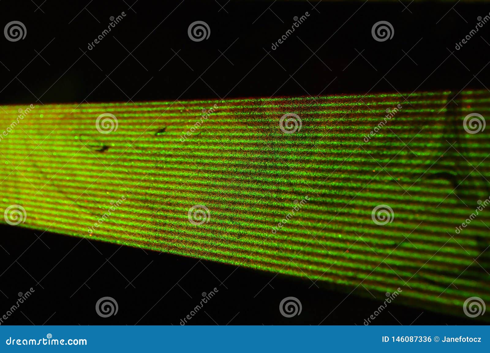 Beam Background Pattern with Lines and Stripes Stock Photo - Image of ...