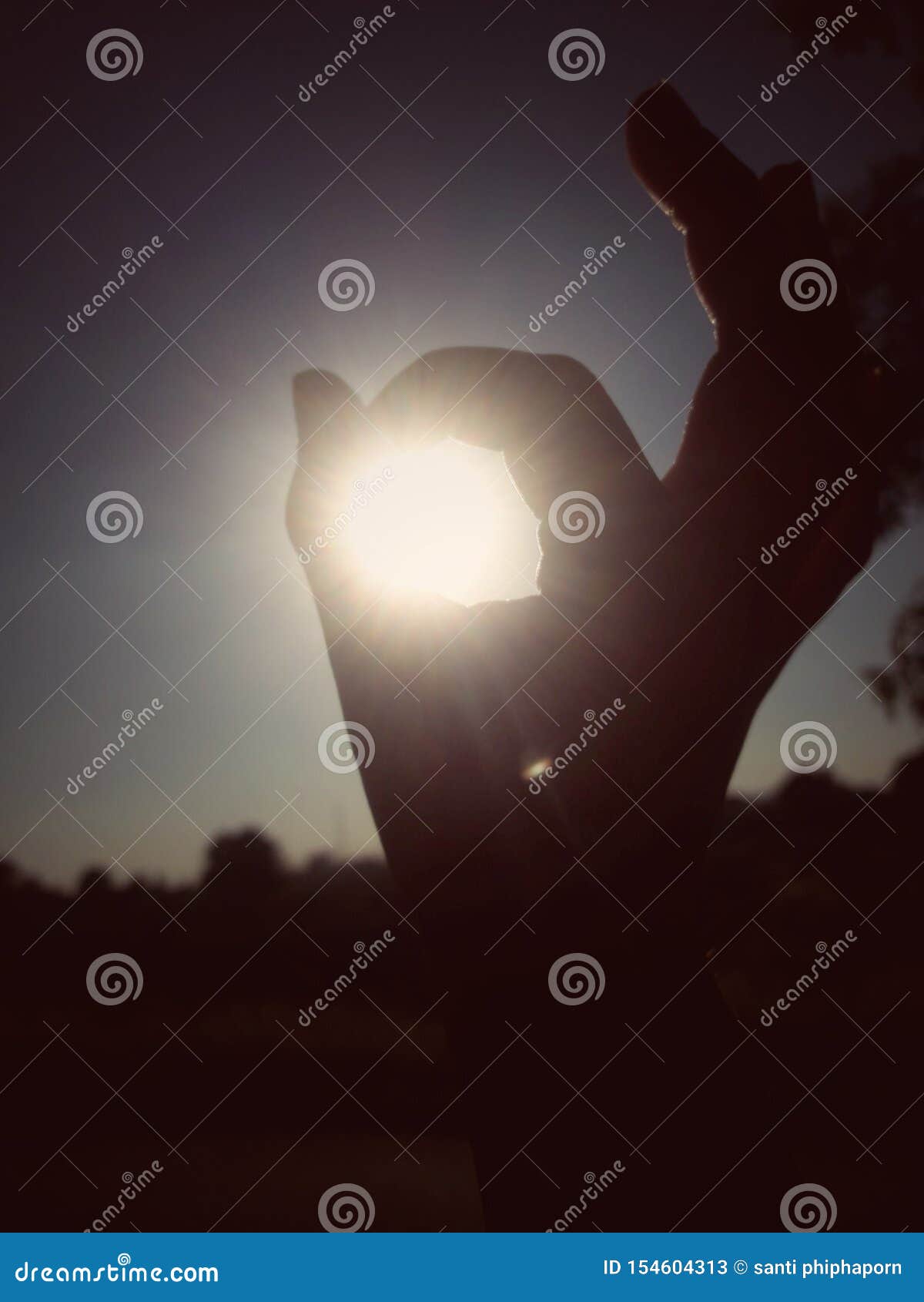 Sun Hands Stock Photos - Download 84,309 Royalty Free Photos