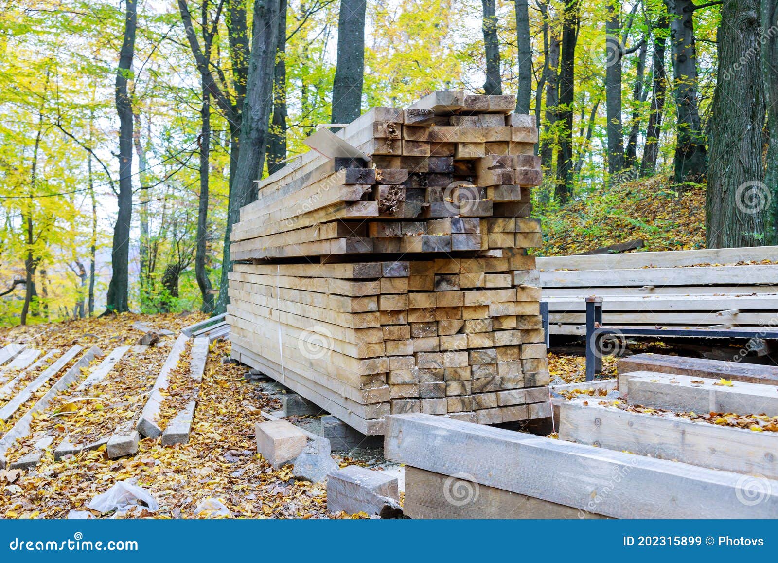 Beam Large Wooden Beams for Construction Building Material Stock Image ...