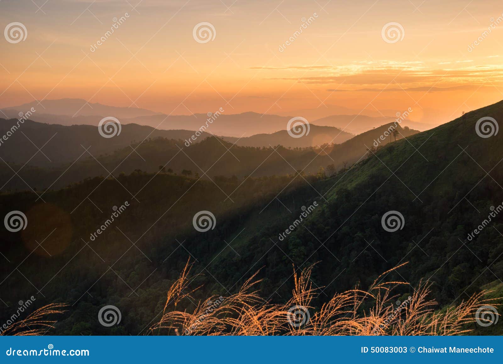 The Beam and the Layer of Nature Stock Image - Image of natural ...