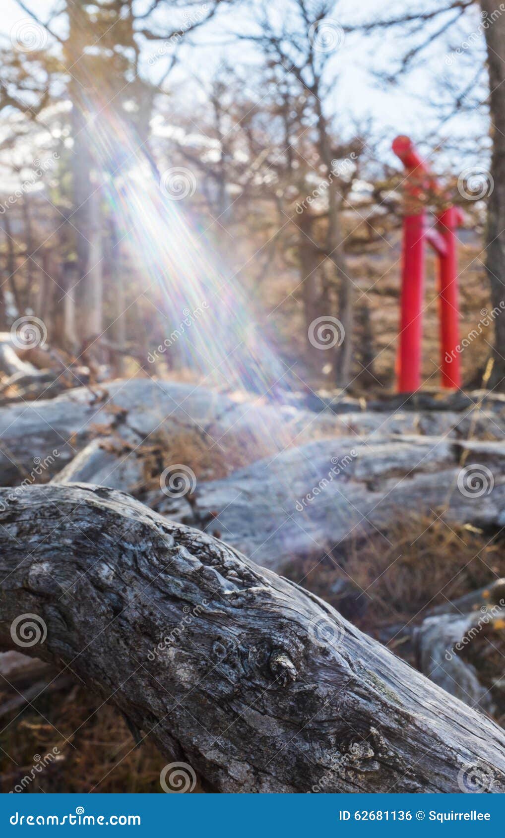 Red Torli Photos - Free & Royalty-Free Stock Photos from Dreamstime