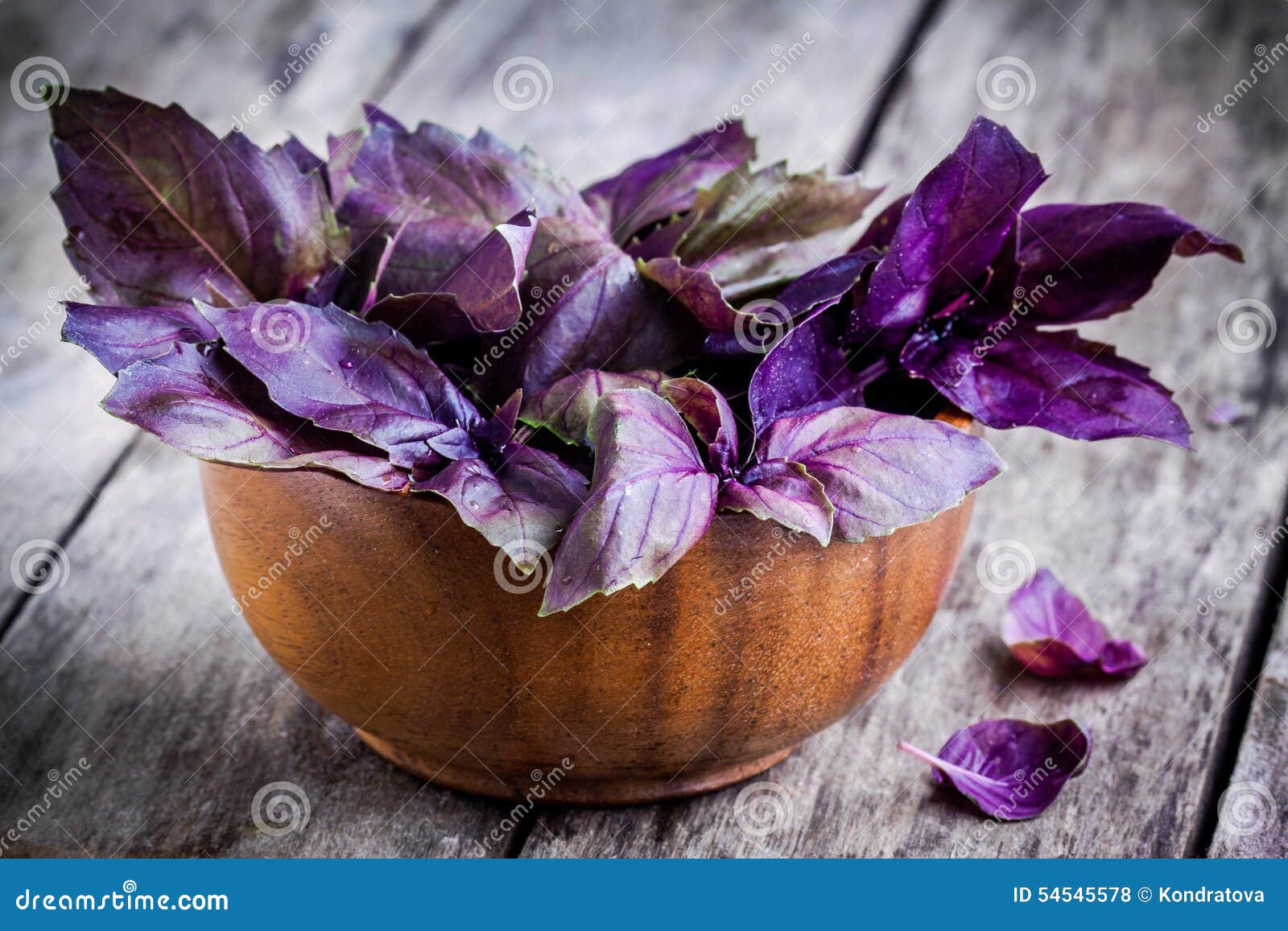 Beam of Purple Basil in the Bowl Stock Photo - Image of dark ...