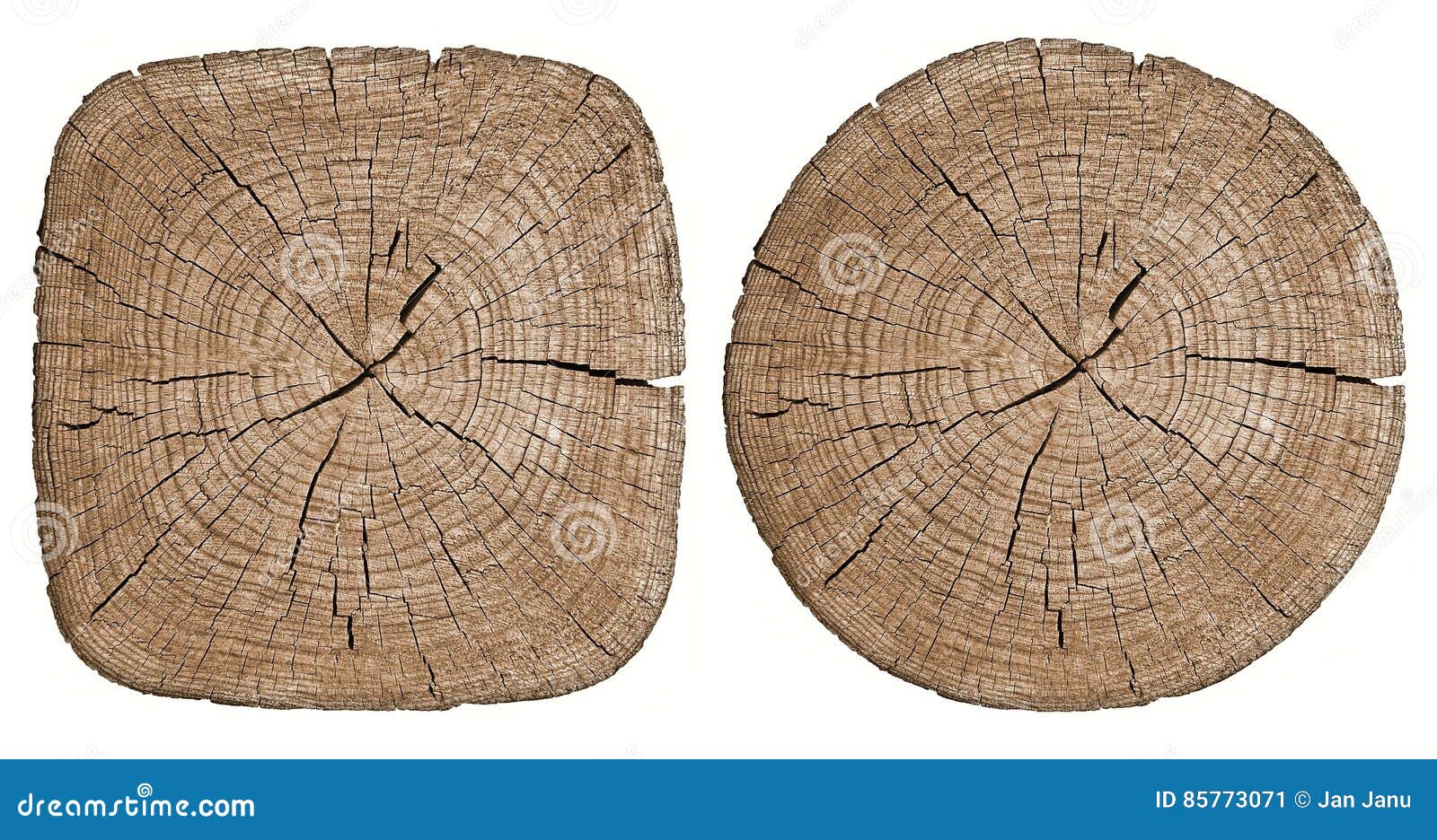 Beam, trunk stock image. Image of ring, nature, pattern - 85773071