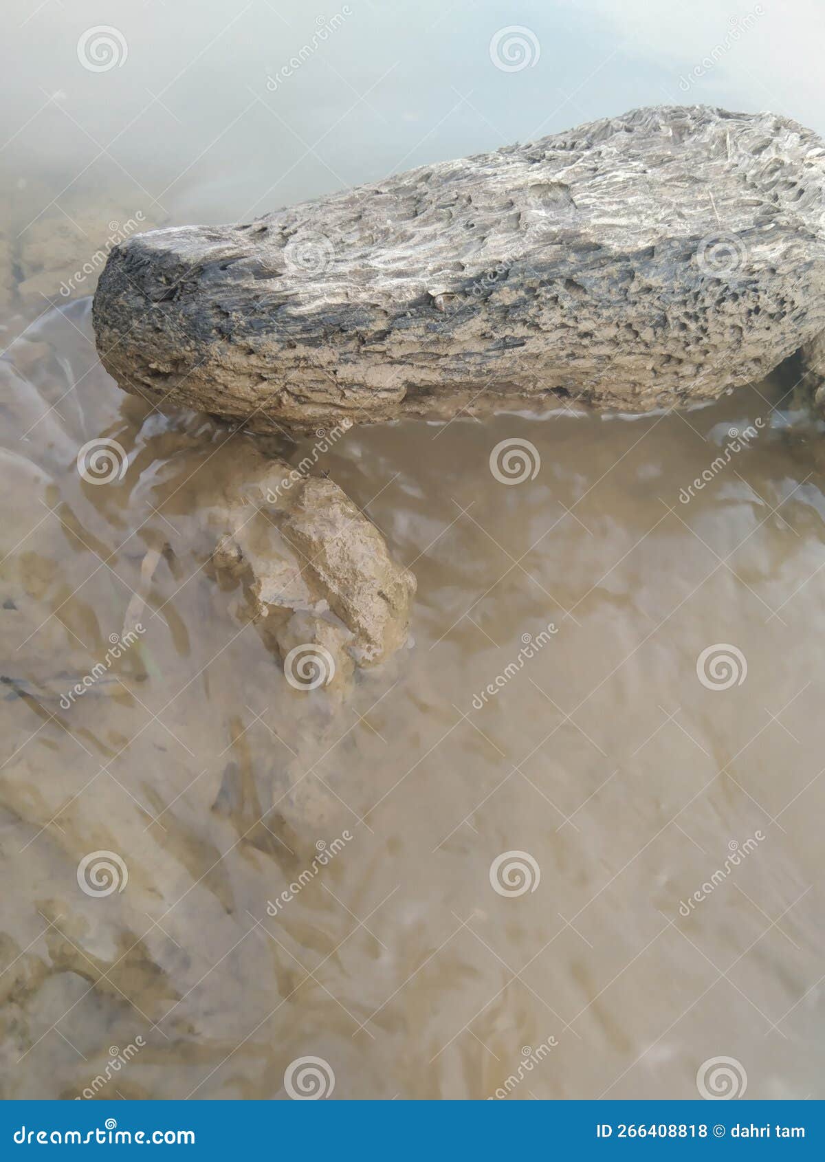 Beams Caught in the Current of Water Stock Photo - Image of caught ...