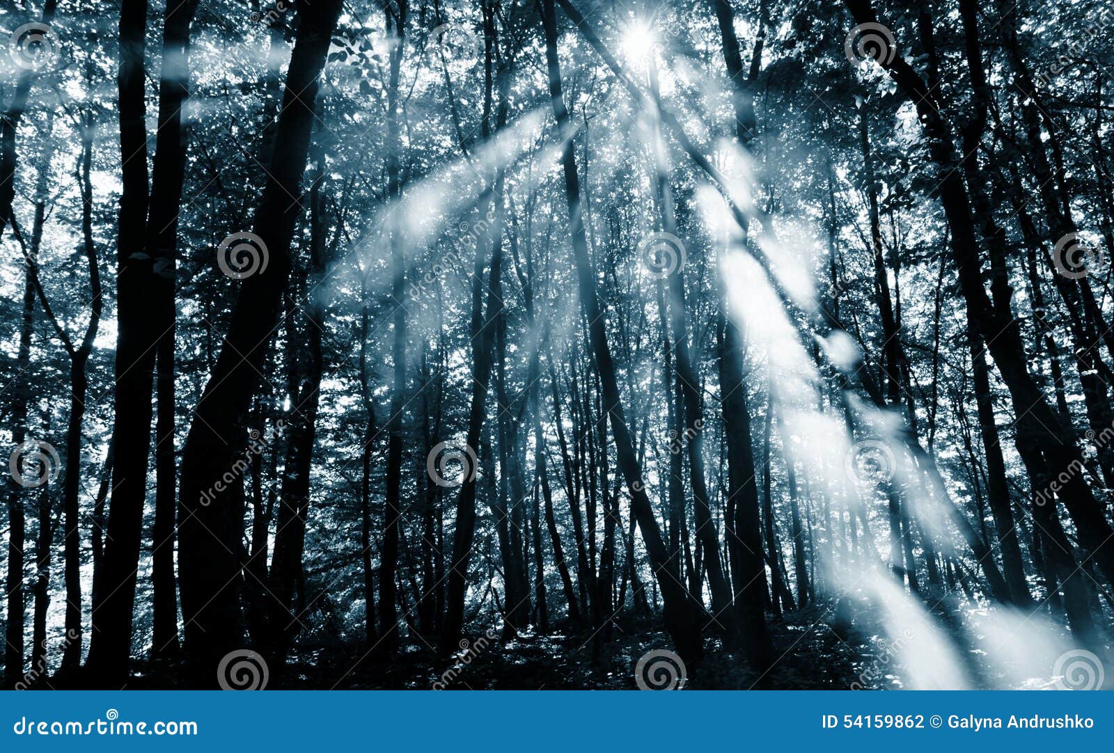 Beams in forest stock photo. Image of concept, season - 54159862