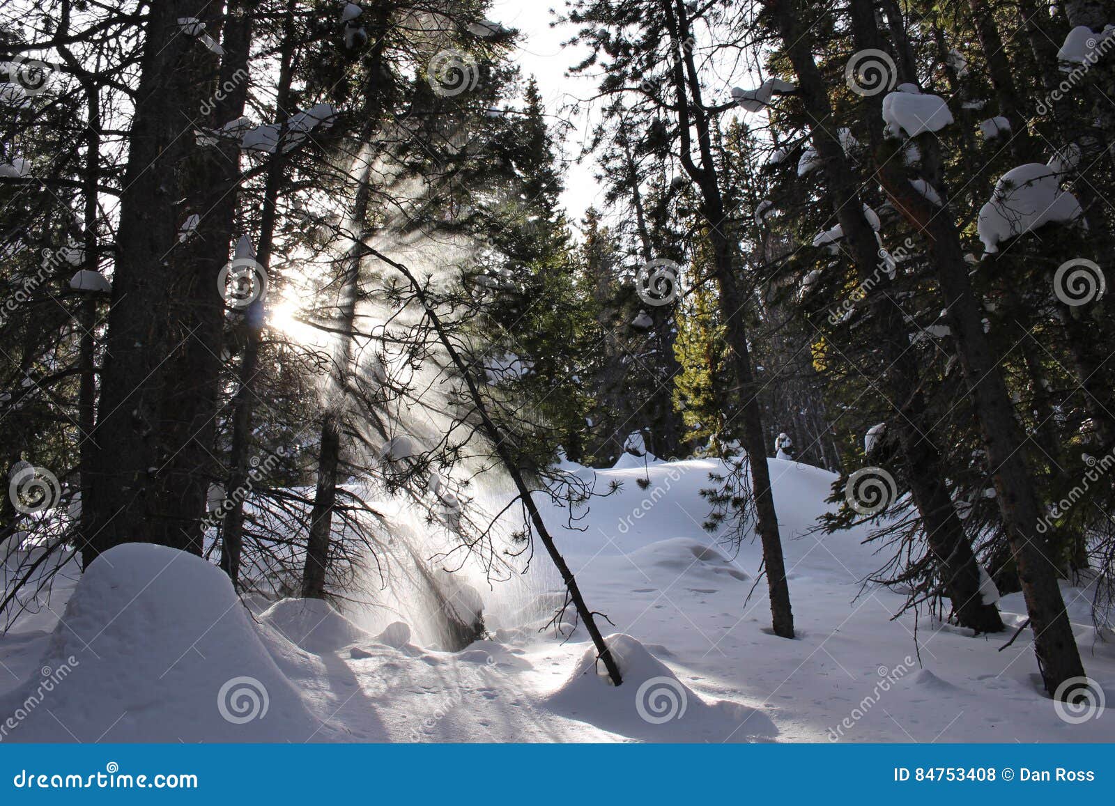 Beams of Light Shine through Falling Snow. Stock Photo - Image of drift ...