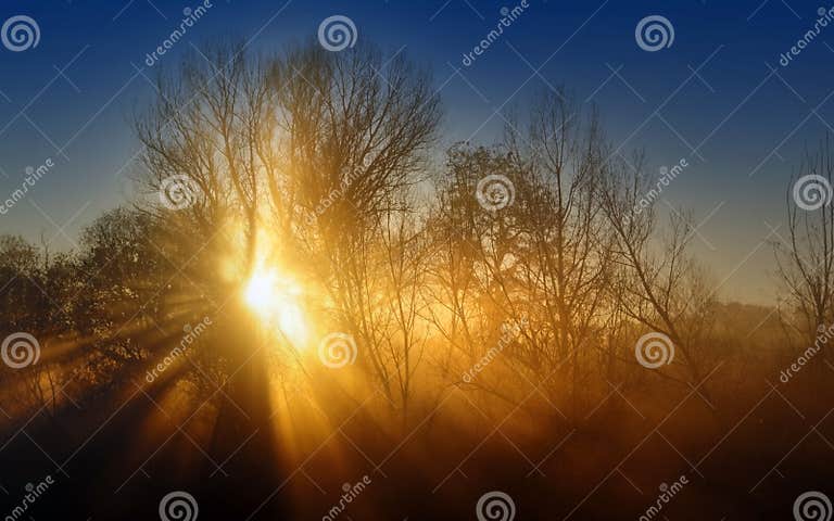 Beams of soft light stock image. Image of nature, orange - 61541311