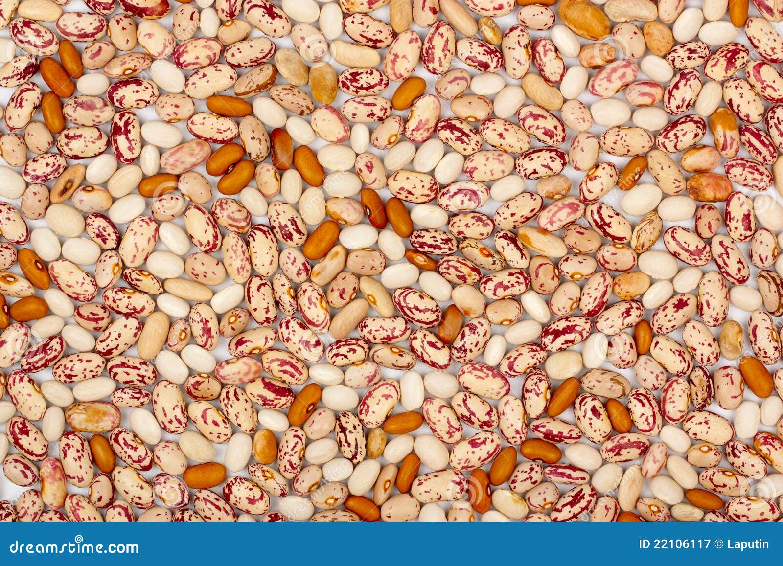 Bean stock image. Image of abstract, texture, agriculture - 22106117