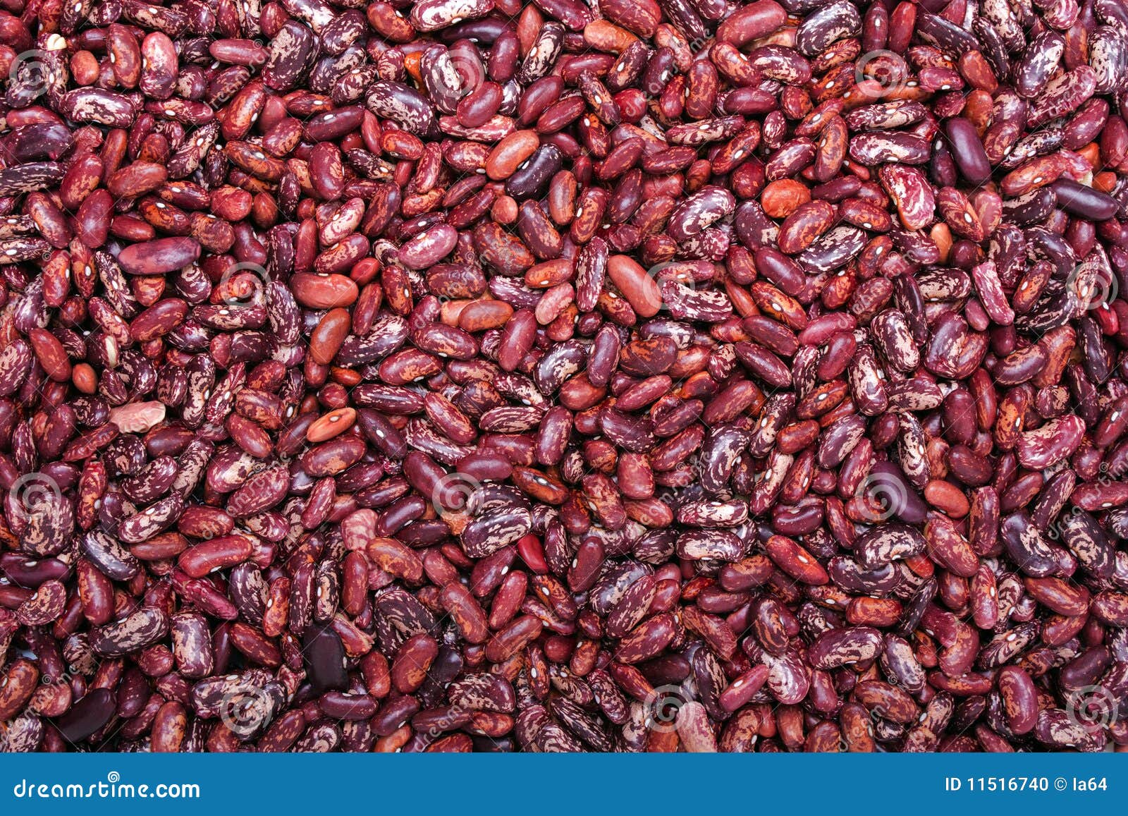 Bean background stock photo. Image of dietary, abstract - 11516740