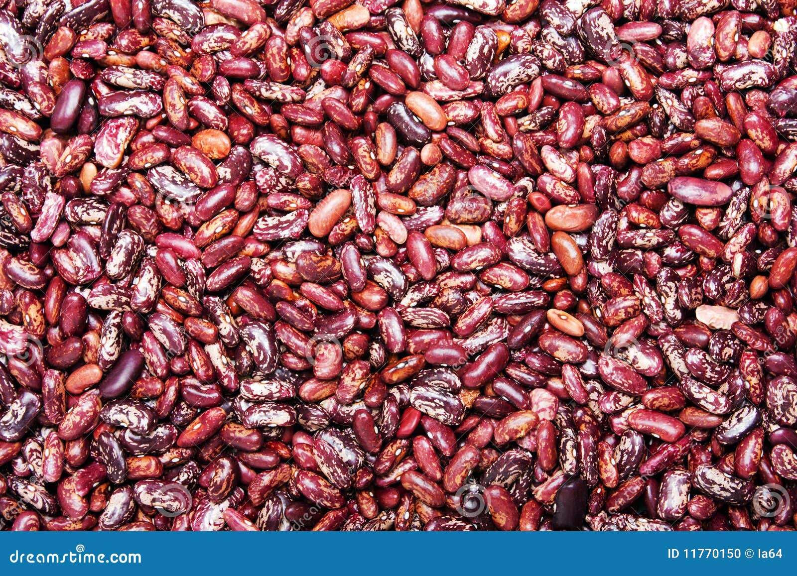 Bean background stock photo. Image of close, fruit, dried - 11770150