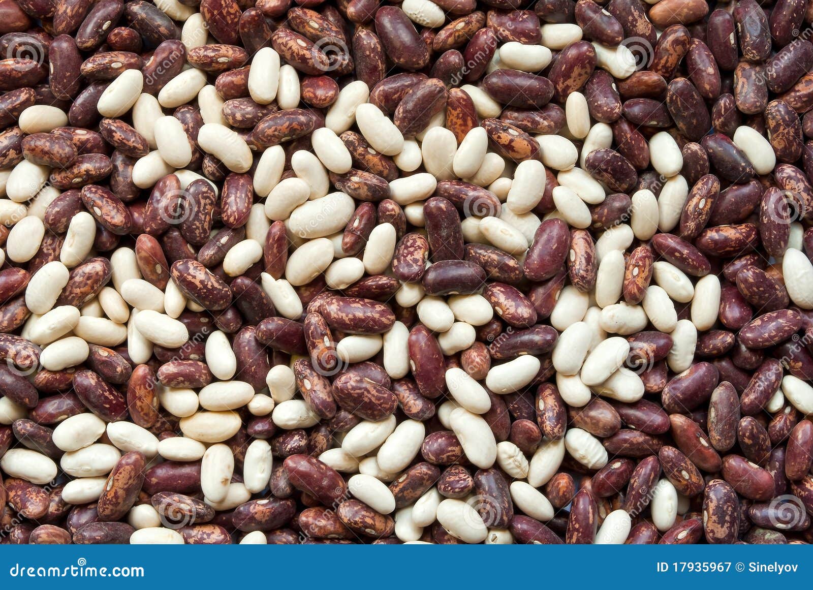 Bean background stock image. Image of beige, bean, vegan - 17935967