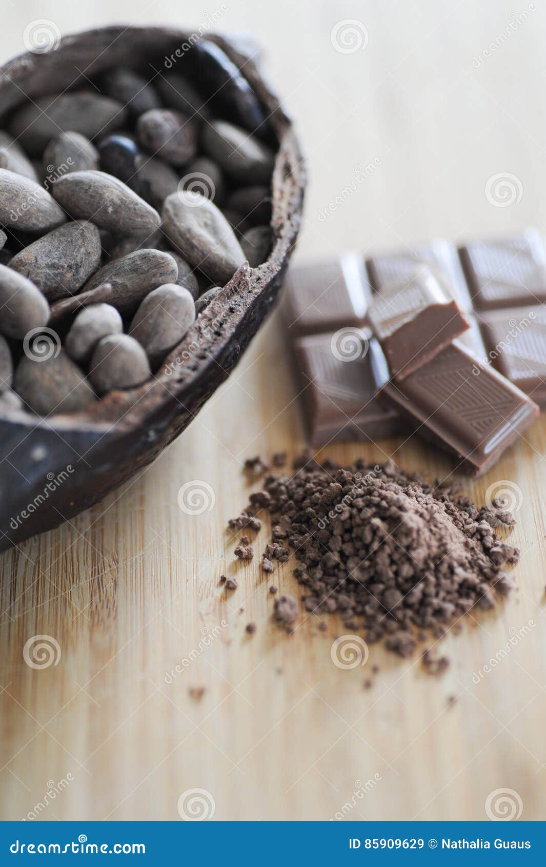 Bean of cocoa stock image. Image of maya, aztec, bitter - 85909629