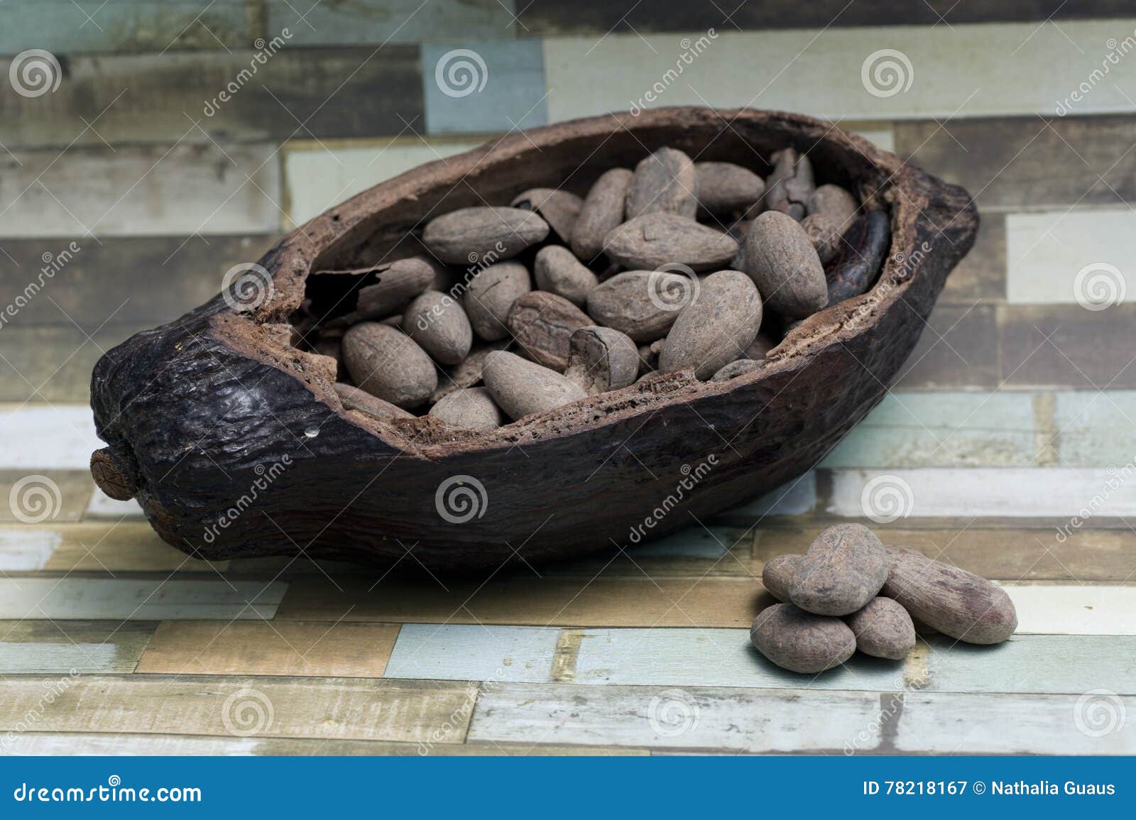 Bean of cocoa stock image. Image of fruit, columbian - 78218167