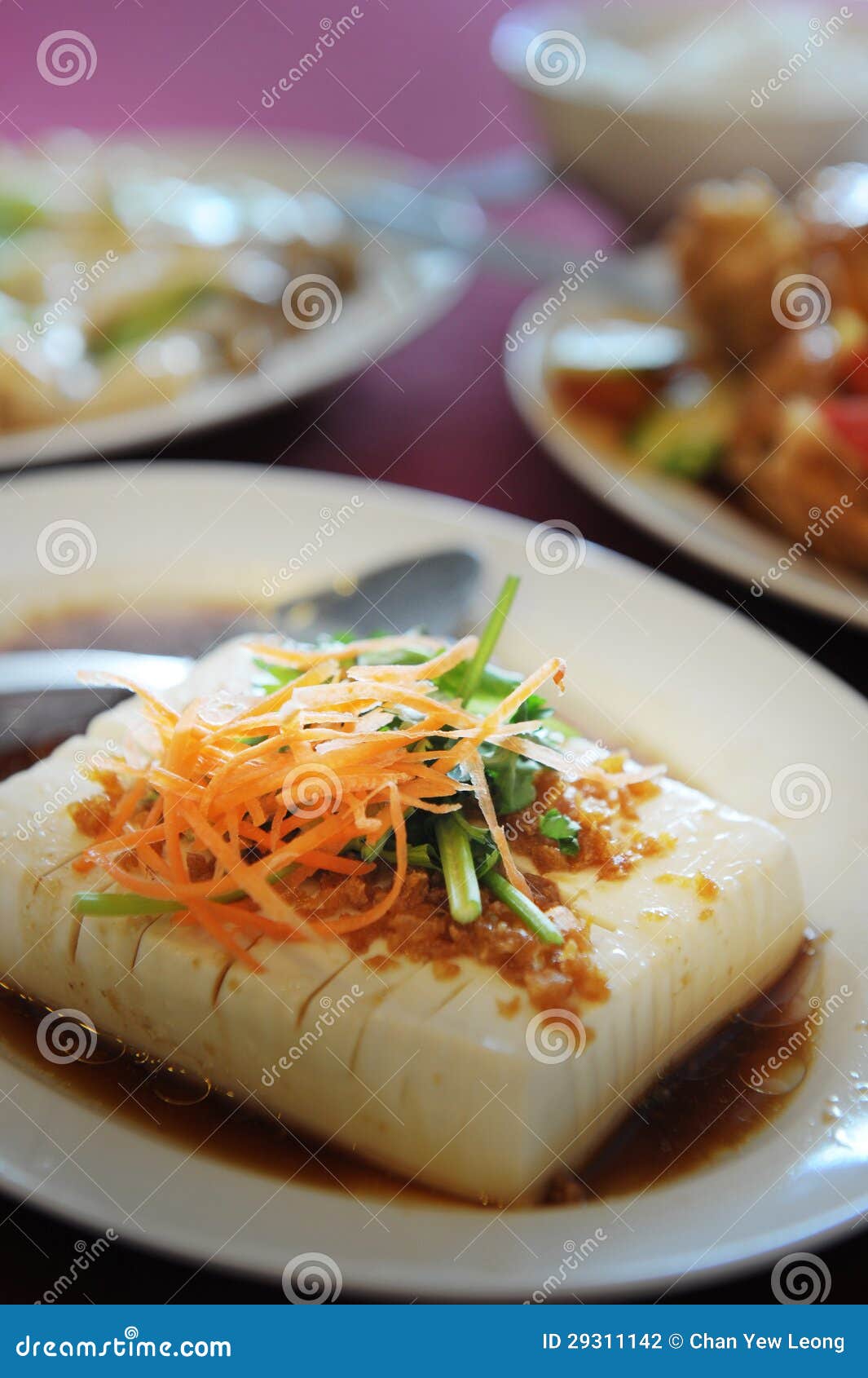 Bean Curd stock photo. Image of curd, table, meal, plate - 29311142
