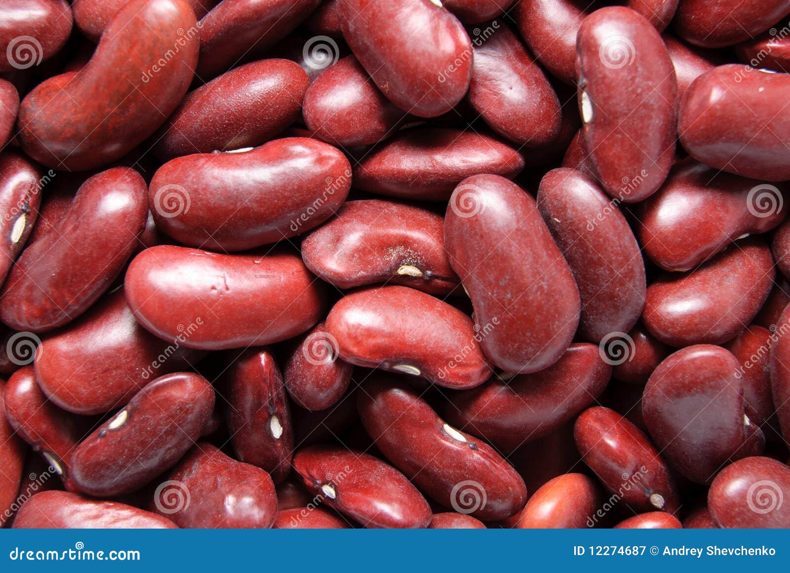 Bean grains stock image. Image of grains, background - 12274687