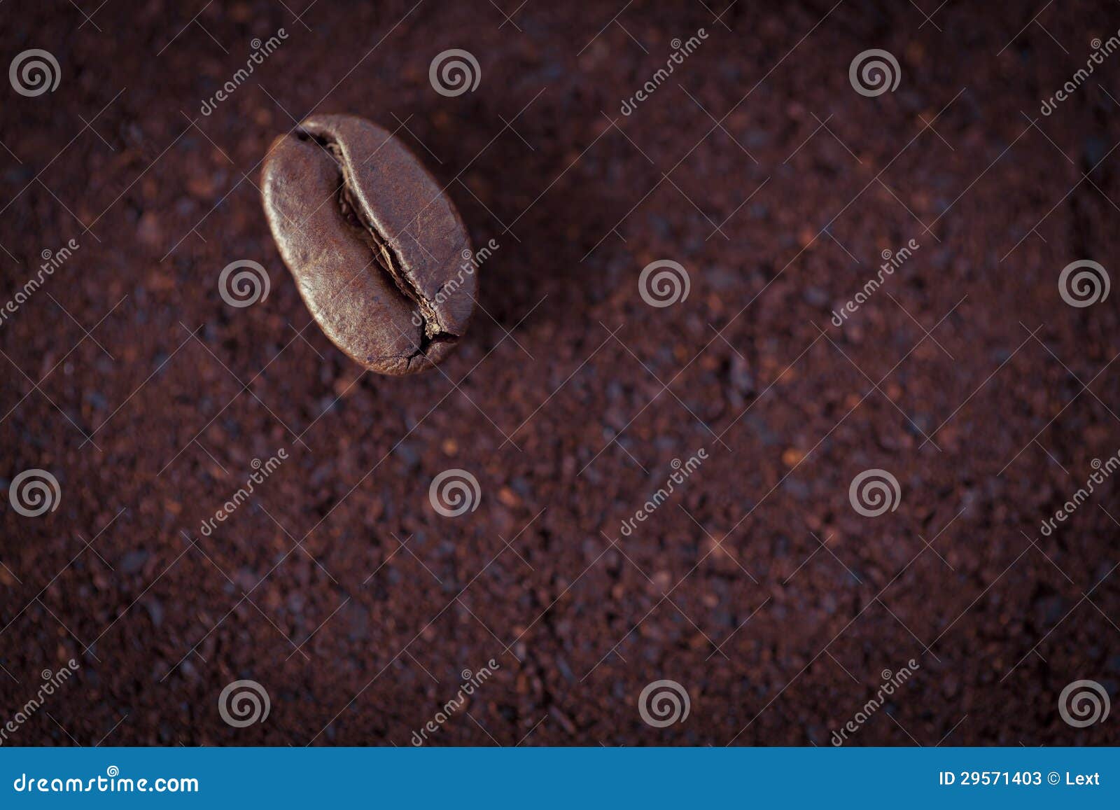 Bean is the Layer of Ground Coffee Stock Image - Image of cafe, culture ...