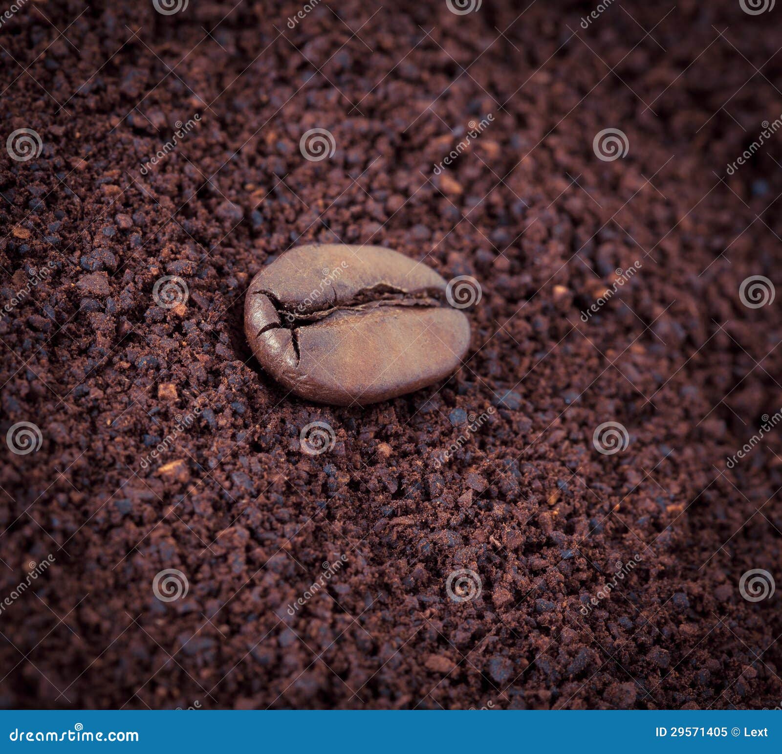 Bean is the Layer of Ground Coffee Stock Image - Image of grained ...