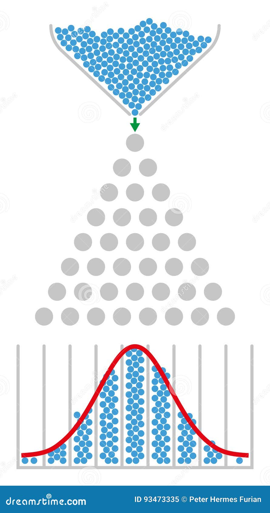 Mathematics Of The Galton Board With Normal Distribution Cartoon Vector ...