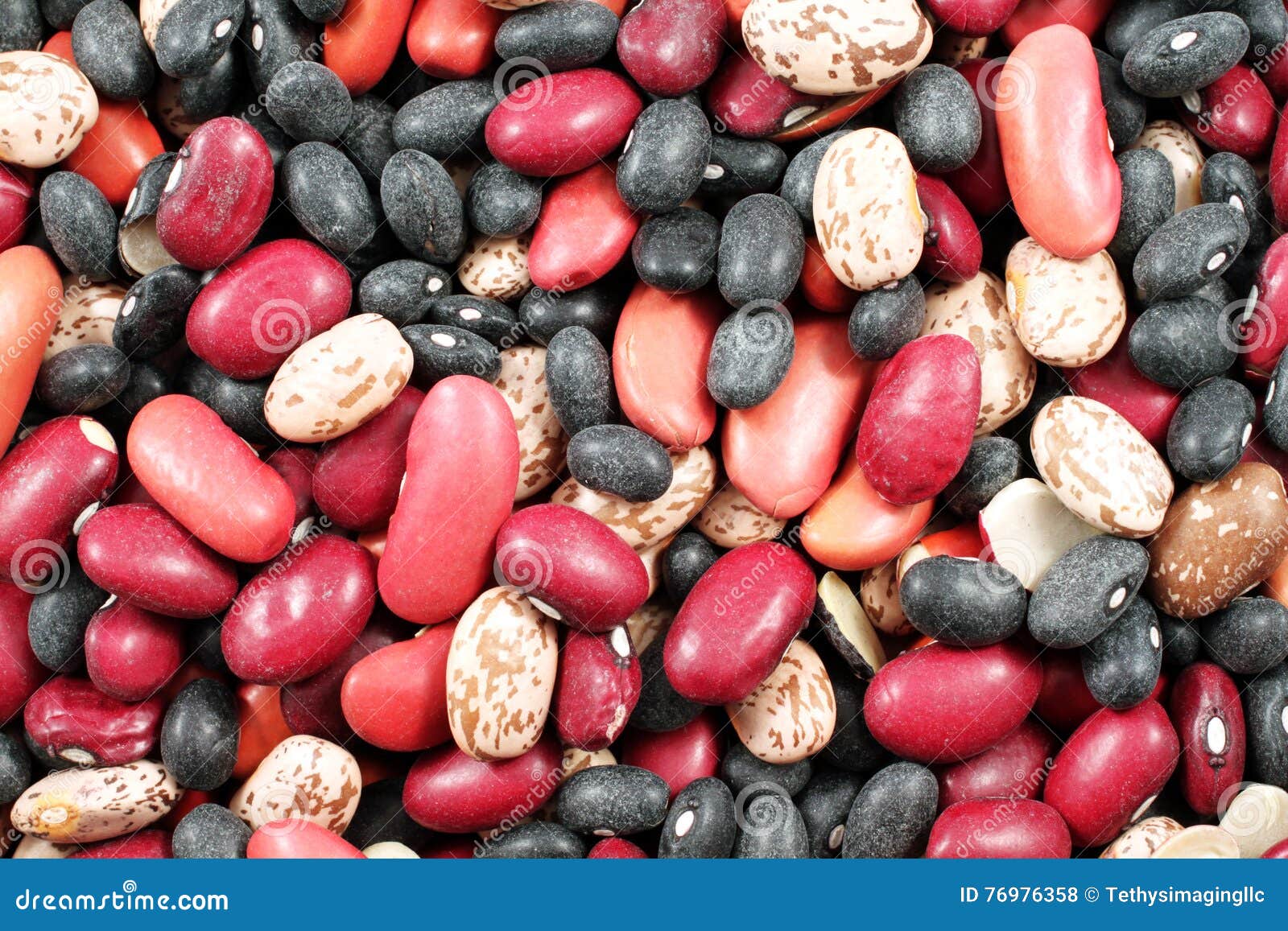 Bean Mix Close Up fotografia stock. Immagine di sano - 76976358