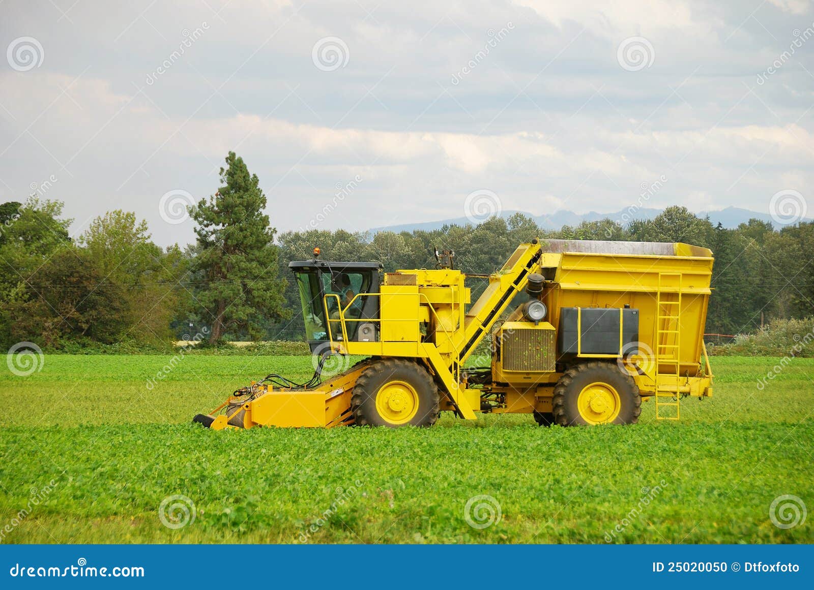 Bean Picker stock photo. Image of farmer, swath, agriculture - 25020050