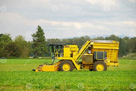Bean Picker stock photo. Image of farmer, swath, agriculture - 25020050