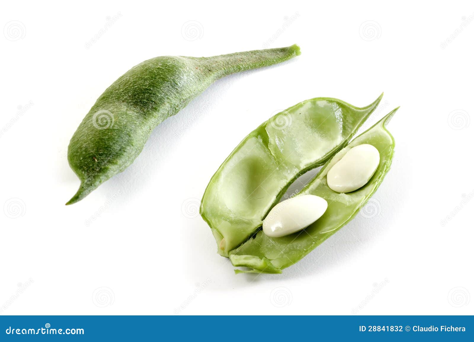 Bean pod stock photo. Image of white, healthy, bean, natural - 28841832