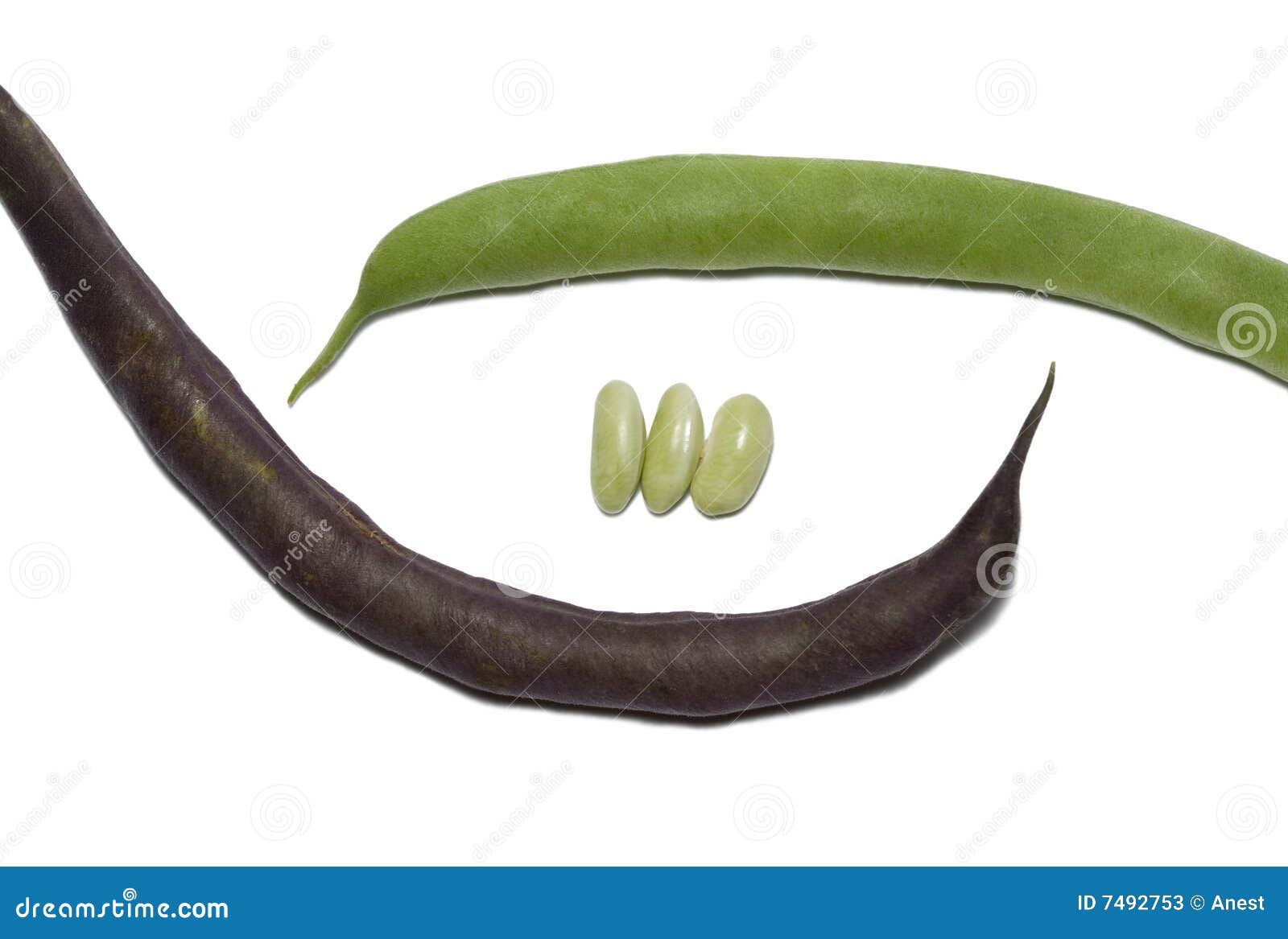 Bean pod isolated on white stock image. Image of harvest - 7492753