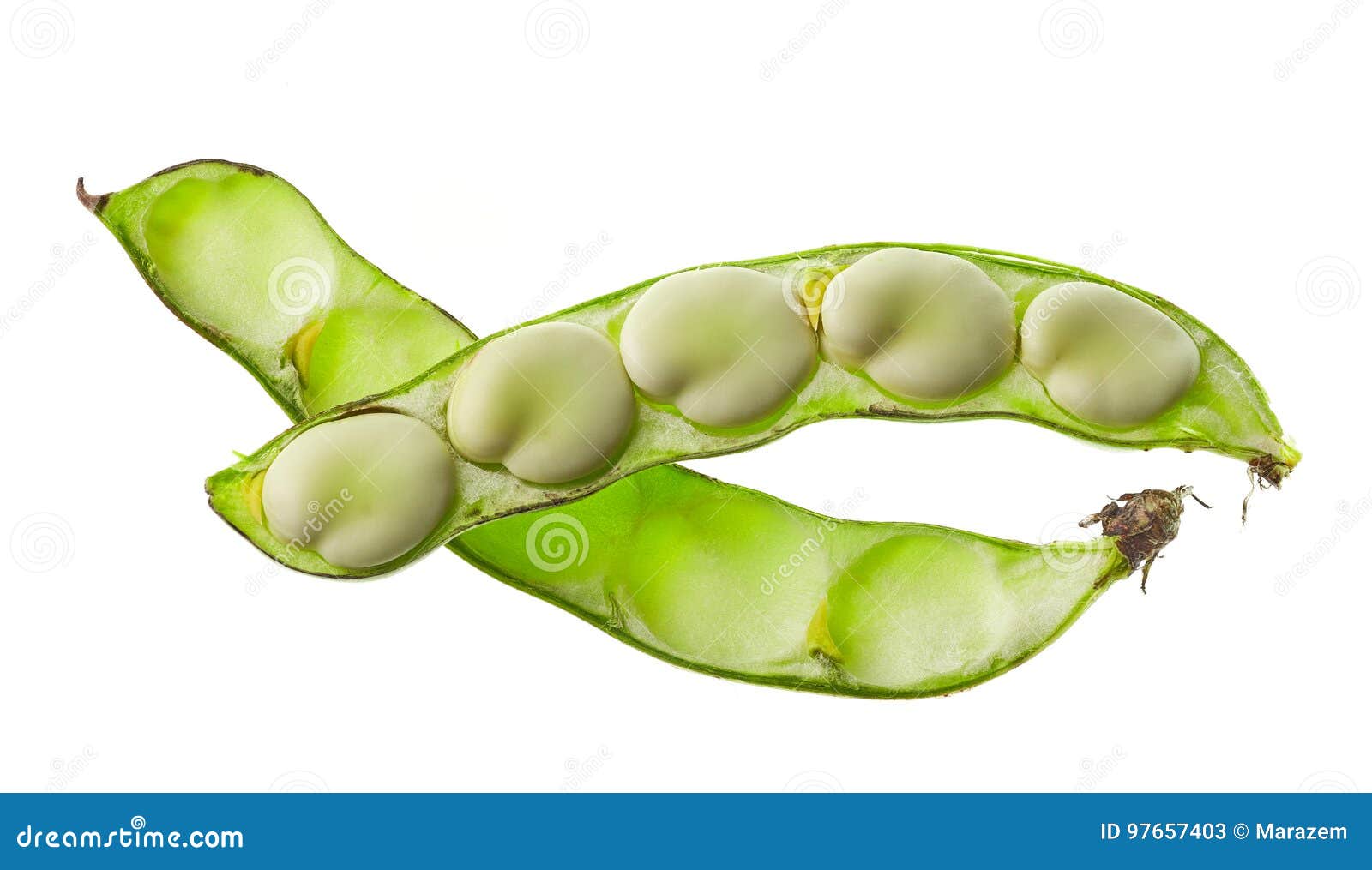 Bean Pod Isolated on White Background Stock Image - Image of ...