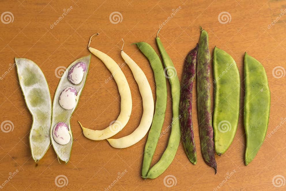 Bean Pods of Different Types Stock Photo - Image of garrofon, grain ...
